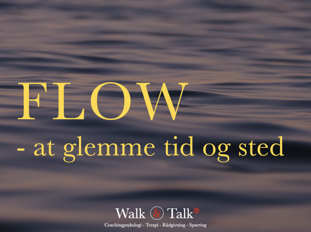 Flow, teorien bag flow og hvordan flow hjælper dig til mere ro