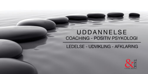 Coaching Uddannelse sten